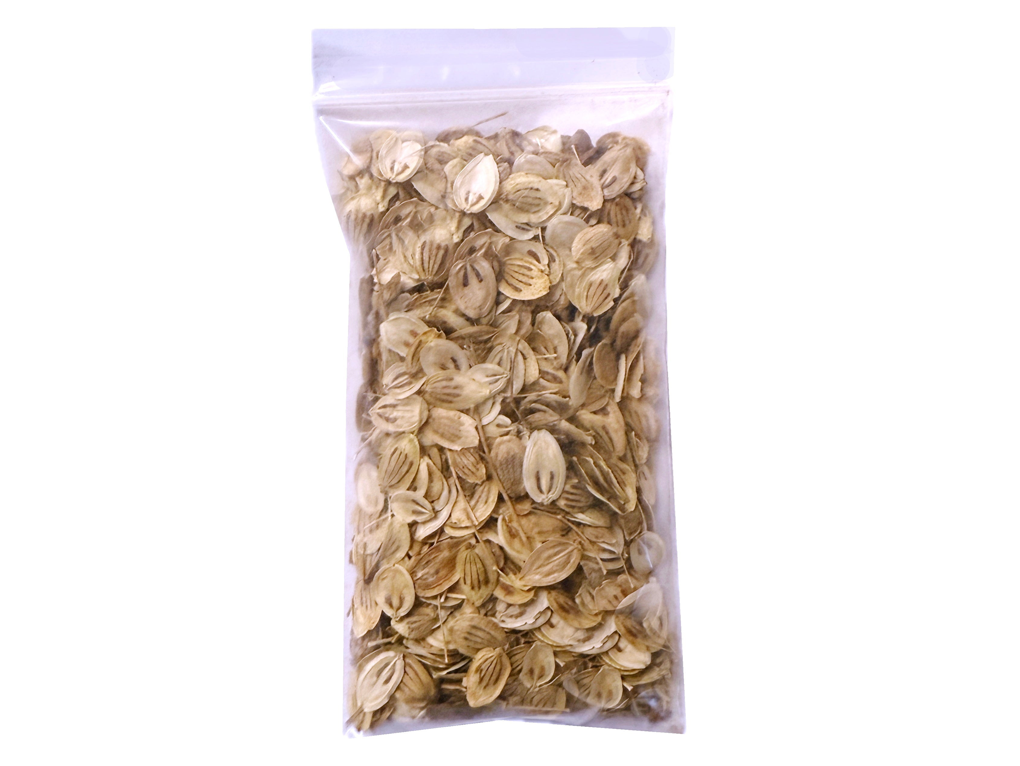 Organic Angelica (20 Grams) (Golpar) – mazzehplus.com
